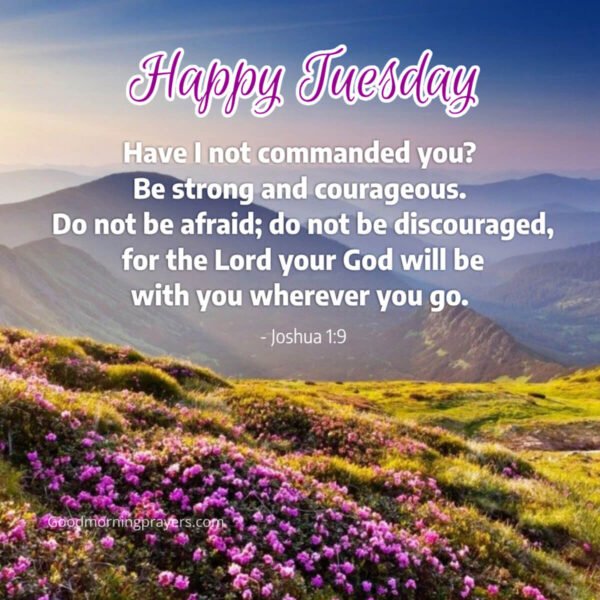 Start Your Tuesday with Good Morning Prayers, Verses, and Lovely GIFs ...