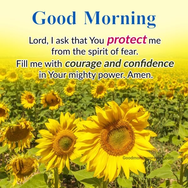 Morning Shield: Prayers for Divine Protection - Good Morning Prayers