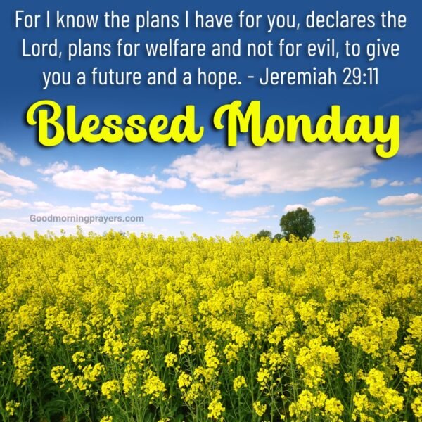 Blessed Monday Morning: Prayers, Bible Verses & Uplifting GIFs to Start ...