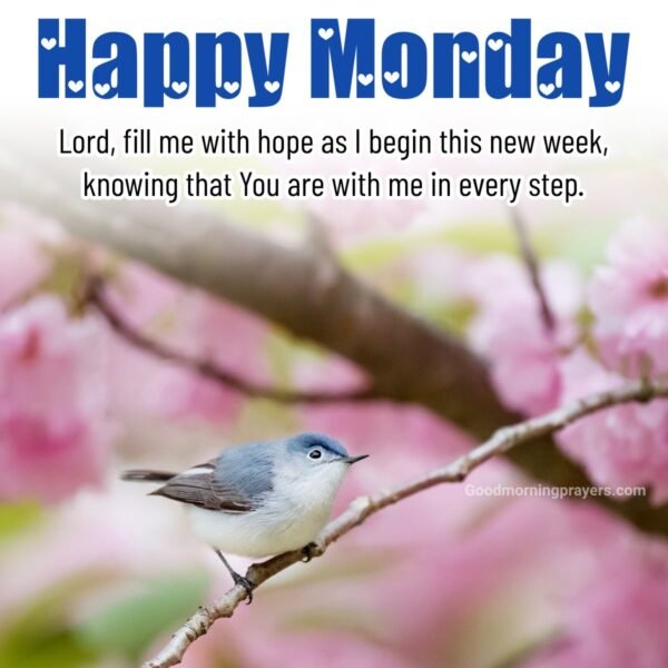 Blessed Monday Morning: Prayers, Bible Verses & Uplifting GIFs to Start ...