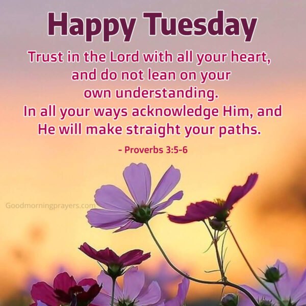 Start Your Tuesday with Good Morning Prayers, Verses, and Lovely GIFs ...