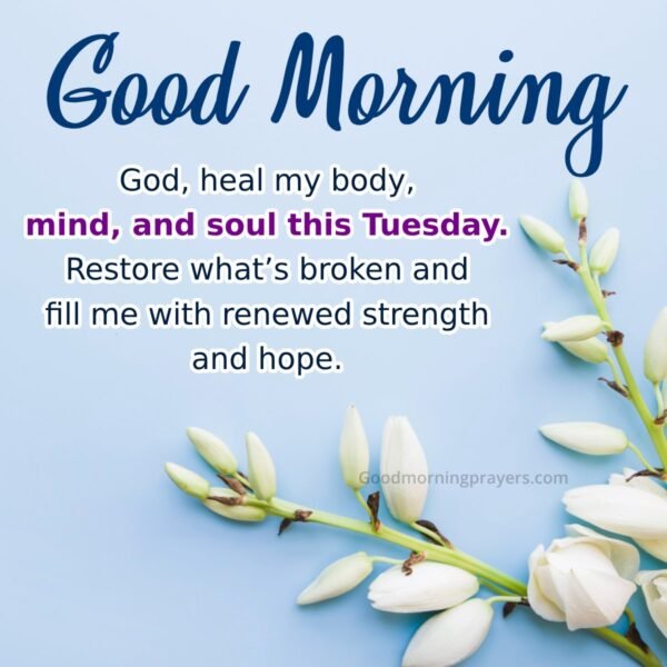 Start Your Tuesday with Good Morning Prayers, Verses, and Lovely GIFs ...